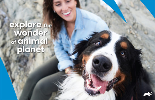 Packaging Design for Animal Planet Pets | StyleWorks Creative