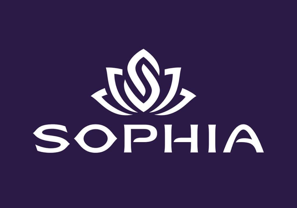 Brand Style Guide & Identity for Sophia the Robot | StyleWorks